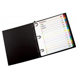 Oxford Omni-Dex Colour Coded Tab Dividers, 15 Tab, Assorted